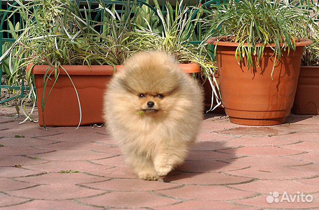 Позитивный красавчик