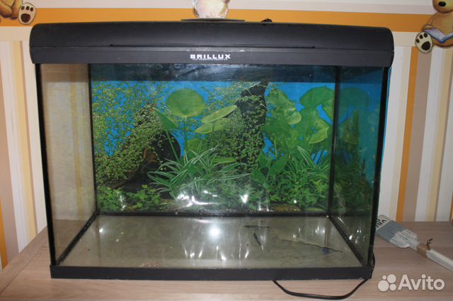 Аквариум brillux 60P