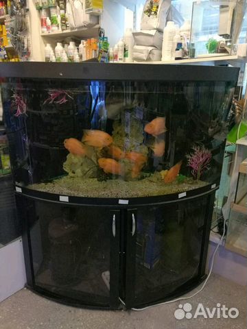 Аквариумный комплекс 300л угловой