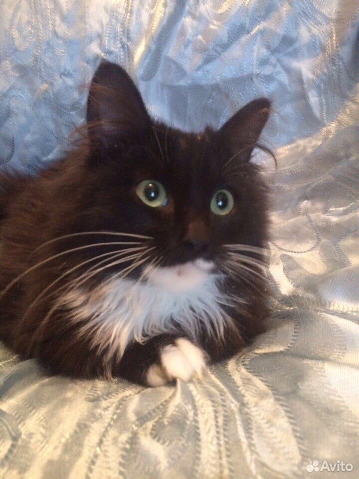 Малышка-Мышка 1 год