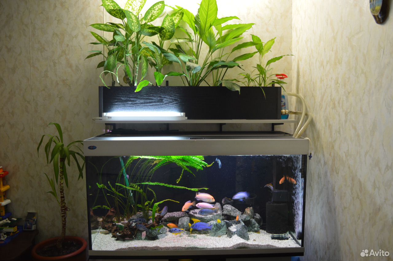Аквариум 300литров