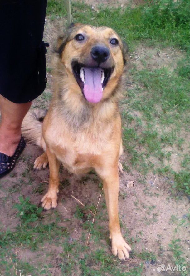 Сонечка. Рыжее Солнышко