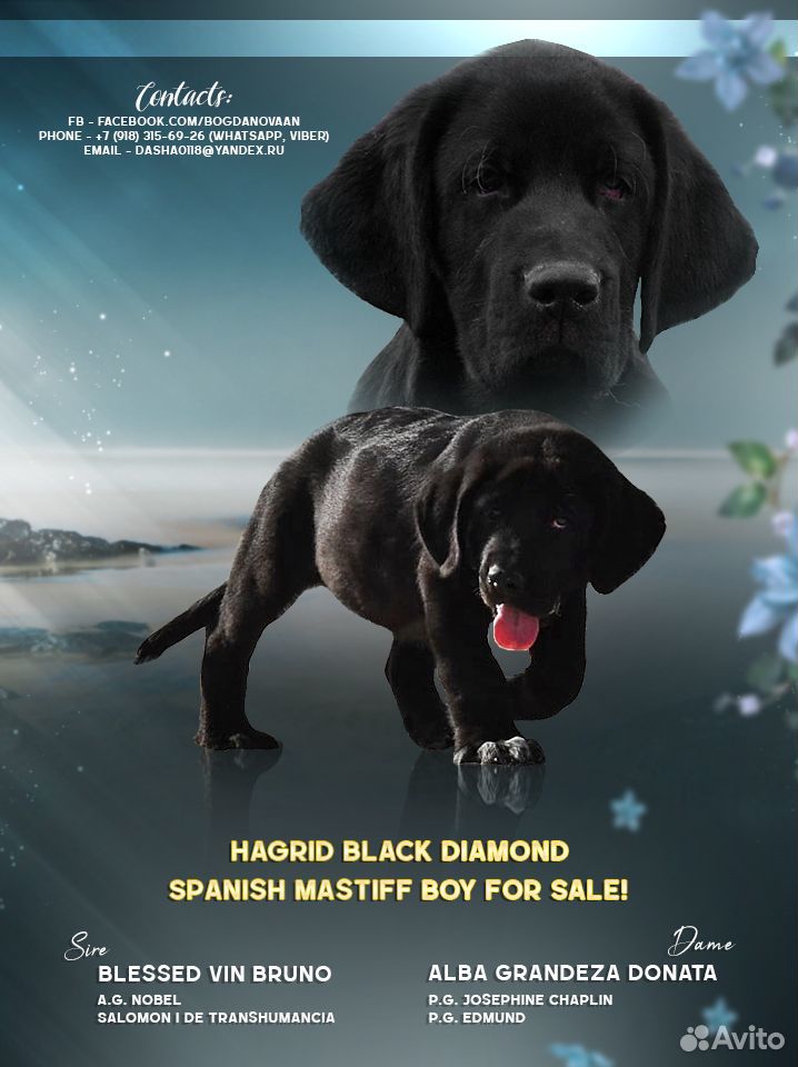 Князь, просто князь