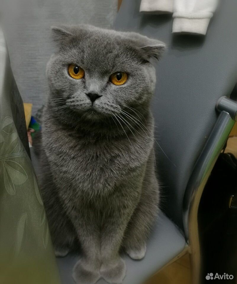 Вязка