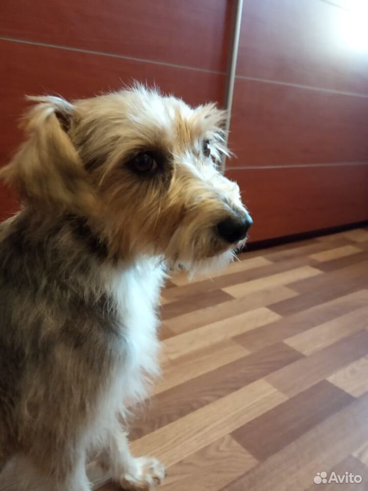 Солнечная Мамзель