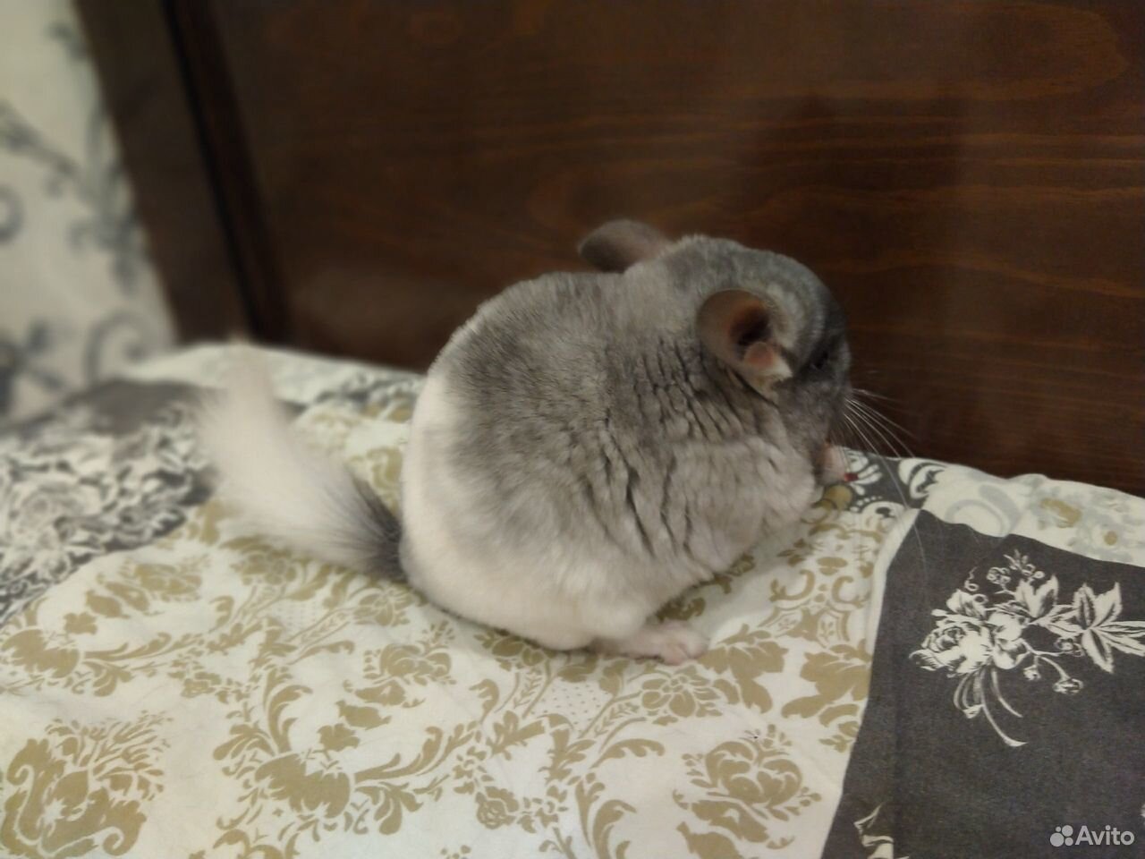 Nizhny Novgorod Werbakova ul.,d. 15