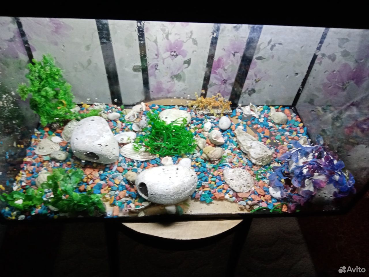 Аквариум