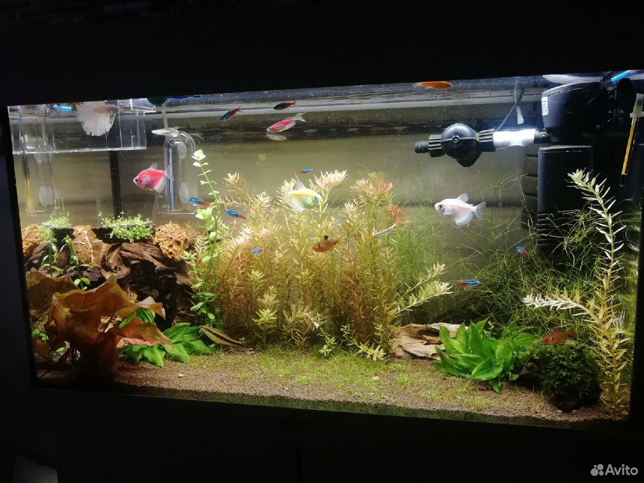 Лампа для аквариума "риф 80" 70см