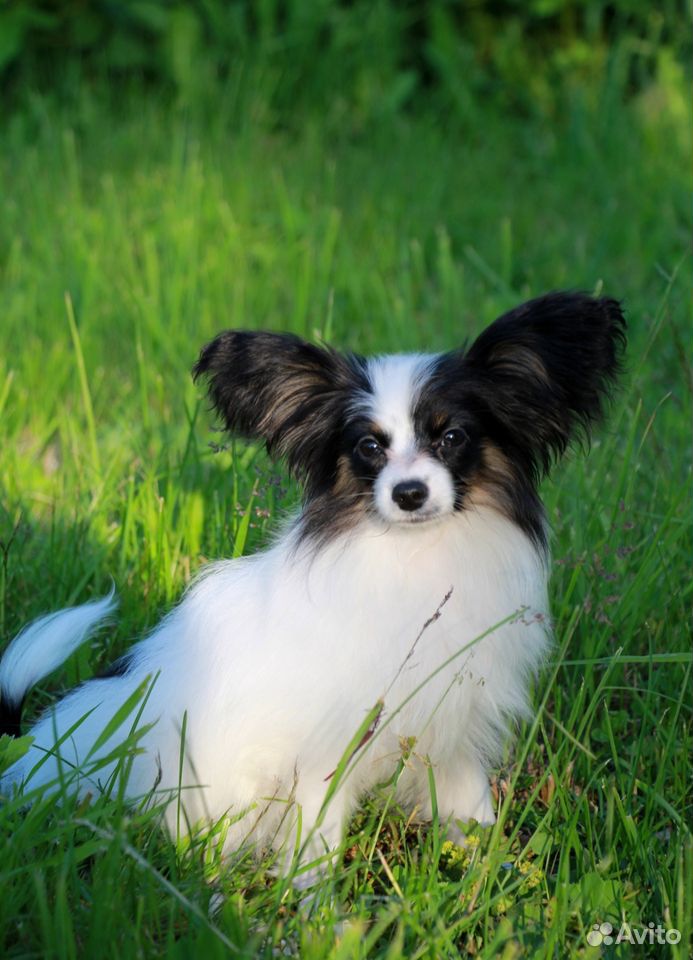 Яна 5 месяцев