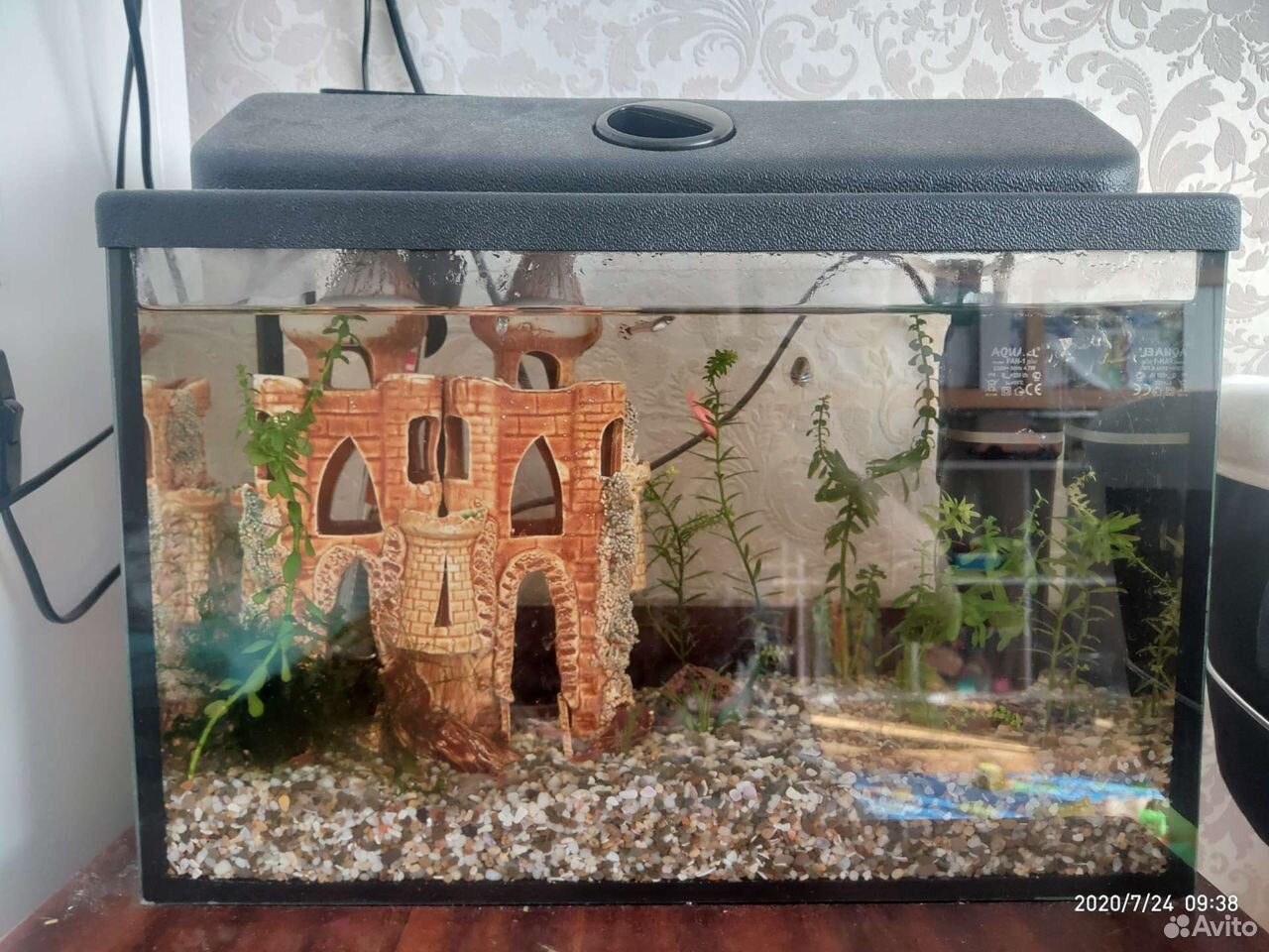 Аквариум с рыбками и креветками