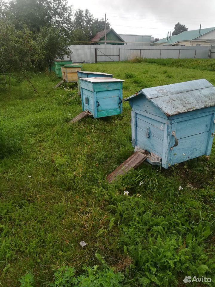Продам пчелиные ульи