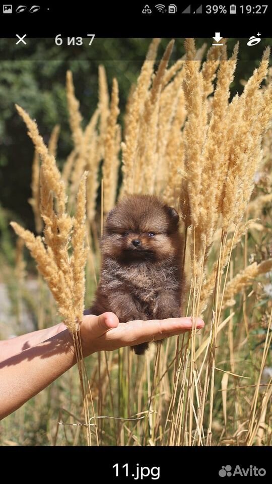 Эксклюзив