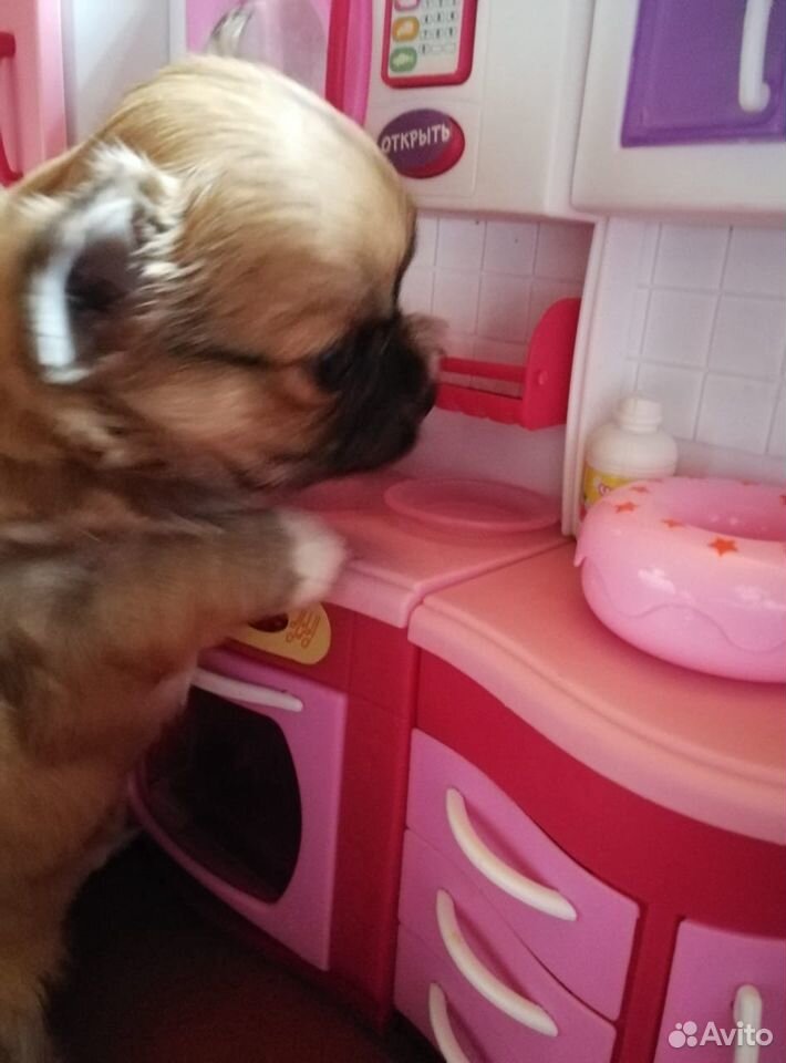 Шикарный мальЧих