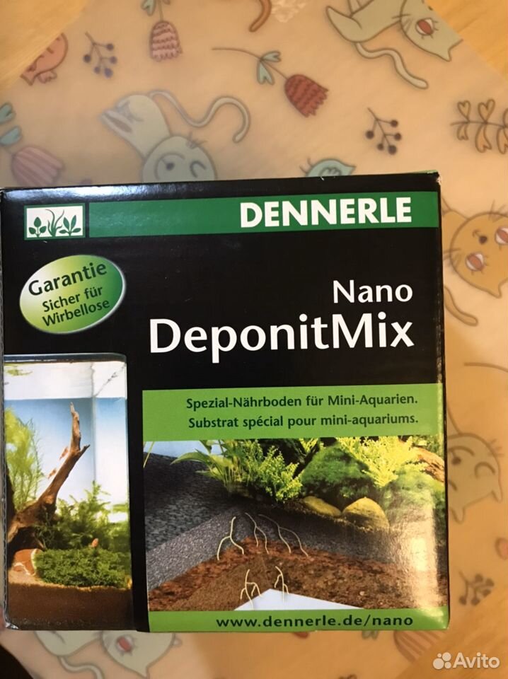 Dennerle deponit
