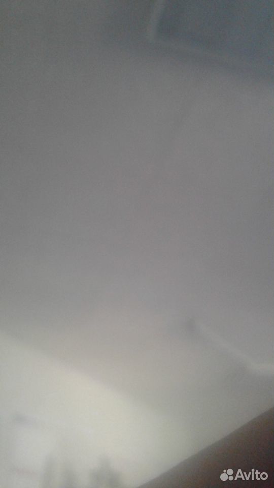 Продаются телки, ягнята