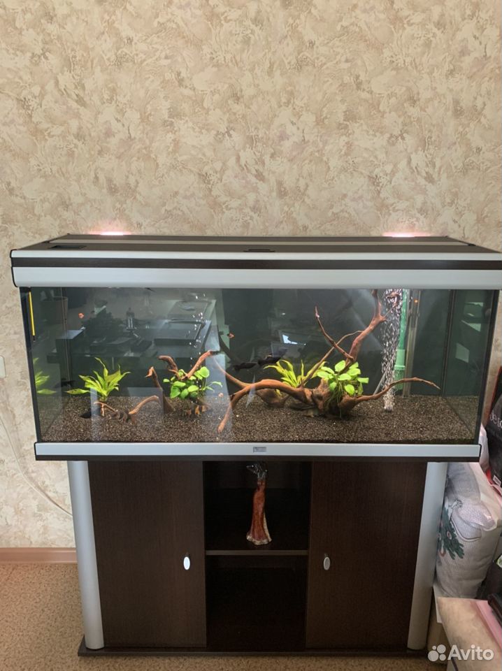 Аквариум Aquatlantis