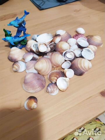 Декор для аквариума ракушки