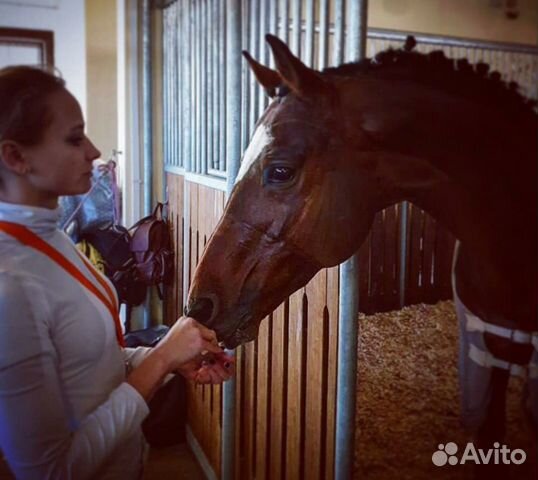 Красавчик на продажу