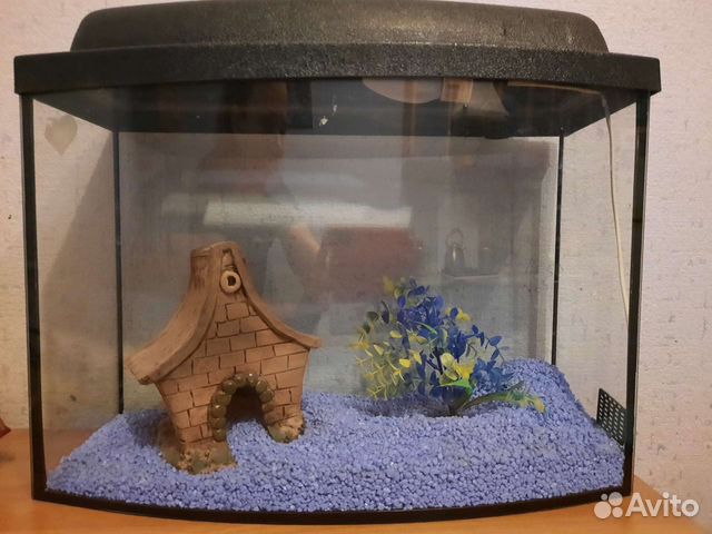 Фильтр,домик, искусственные водоросли, грунт, сачо