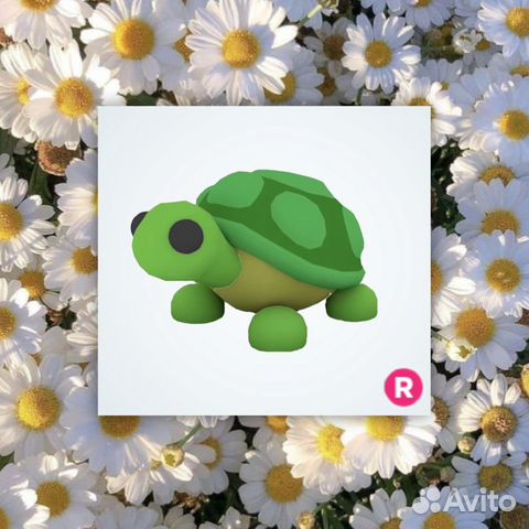 Райд черепаха - adopt me - ride turtle