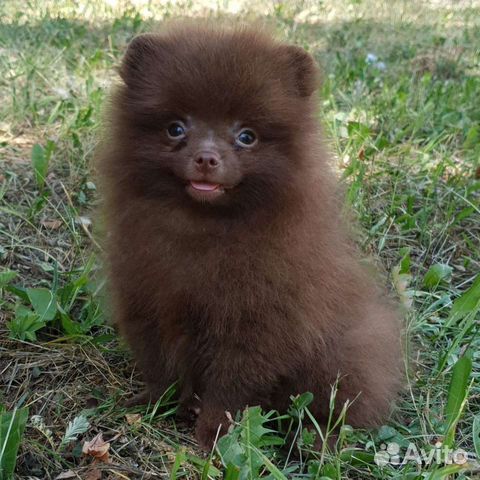 Мальчик 2мес