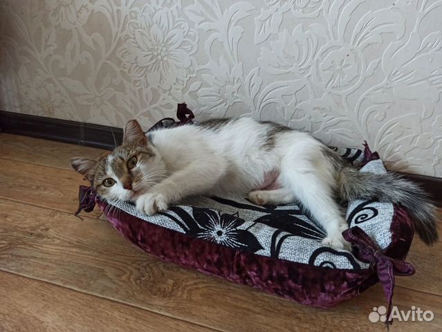 Ксюшенькая