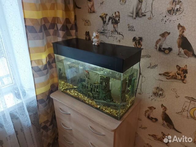 Аквариум 70 л