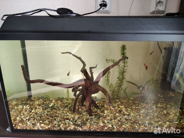 Аквариум 75л