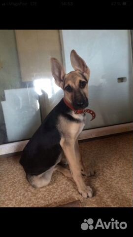 Олимпия, 5 месяцев