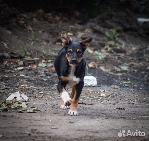 Сэм ищет семью