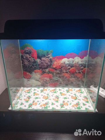 Аквариум