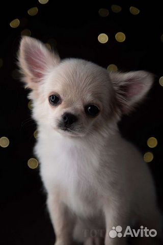 Самый красивый мальчик