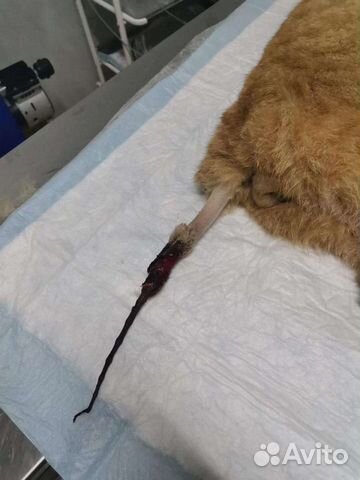 Нужна помощь