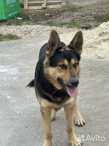 Вязка вео Кабель