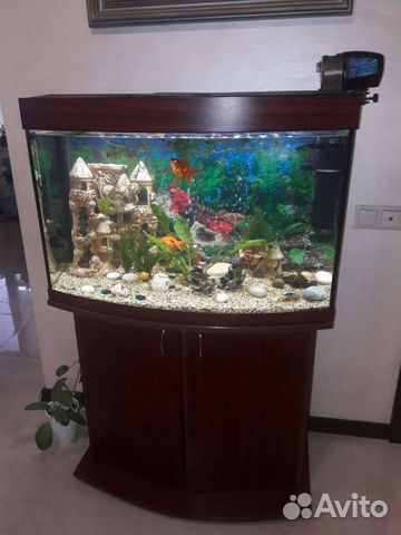 Панорамный аквариум 120л