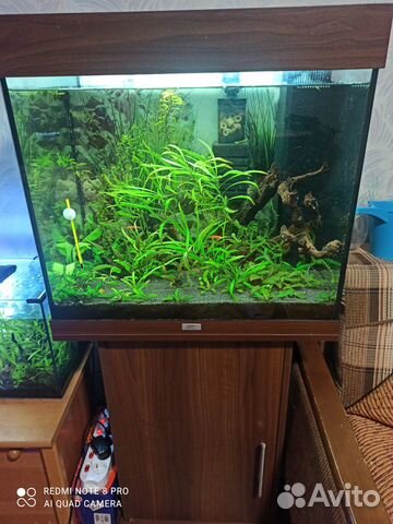 Аквариум с тумбой juwel 120л