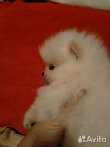 Микро мальчик