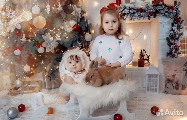 Кролик с клеткой