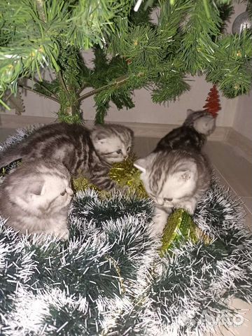 Ваш подарок под ёлку