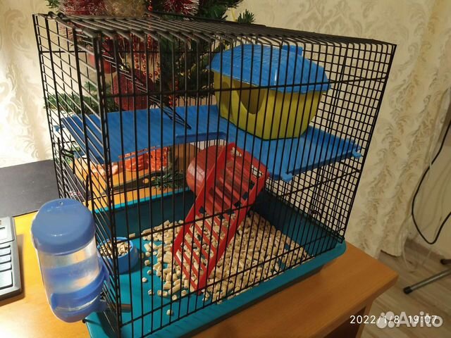 Джунгарский хомяк с клеткой
