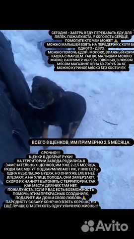 Помогите пожалуйста