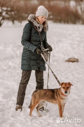 Лиза, 1 год в дар