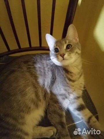 Танюшка одноглазая