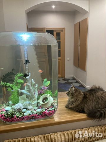 Аквариум Biorb 60 л