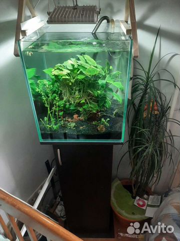 Аквариум