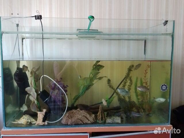 Аквариум террариум