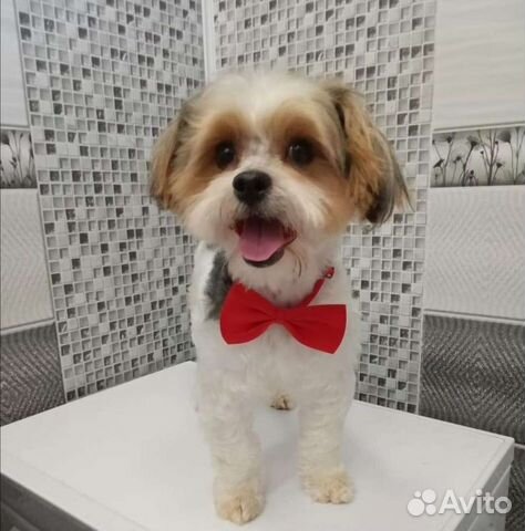 Чудный малыш