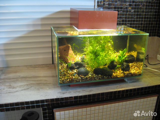 Аквариум дизайнерский Fluval