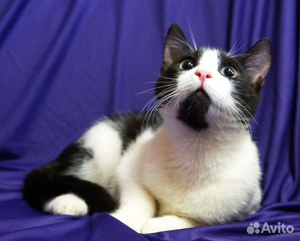 Сладкий, сладкий мальчишечка Гришенька