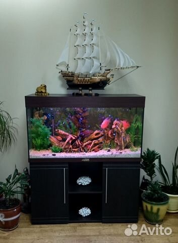 Аквариум на 350л (комплекс)